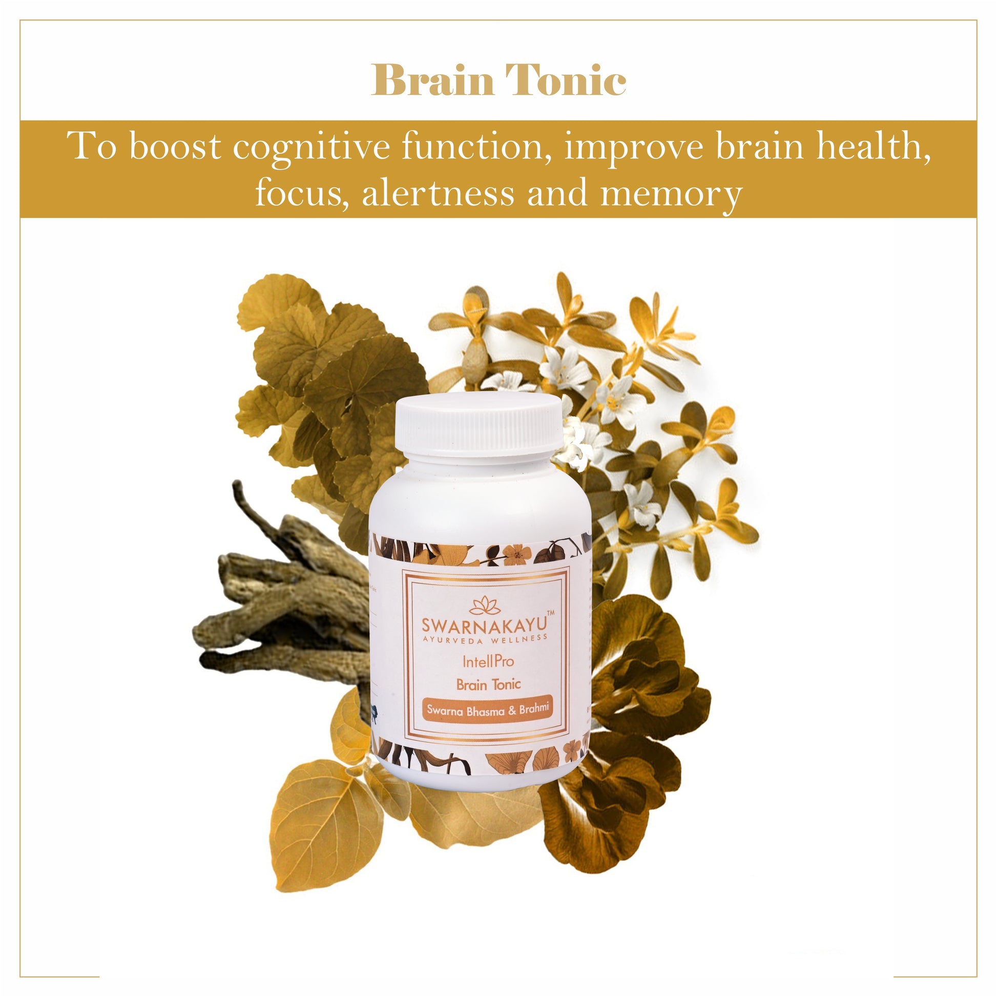 Intellpro Brain Tonic – Swarnakayu